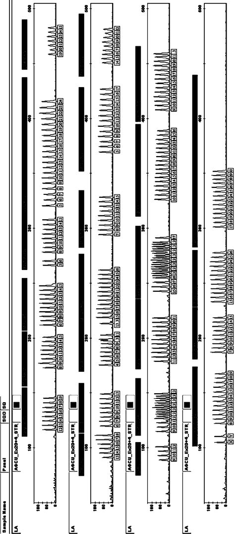 Kit For Multiplex Amplification Of 24 Loci Of Human Genome Dna Eureka