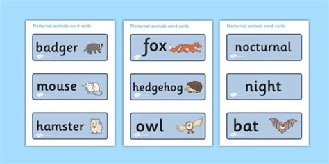 Nocturnal Animals Word Cards Animals Nocturnal Night Cards Word