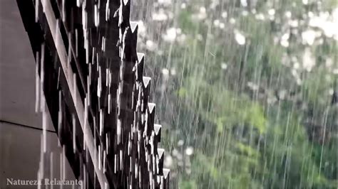 🔴 나쁜 생각을 빨리 없애고 천둥소리와 빗소리로 빨리 잠들기 Youtube