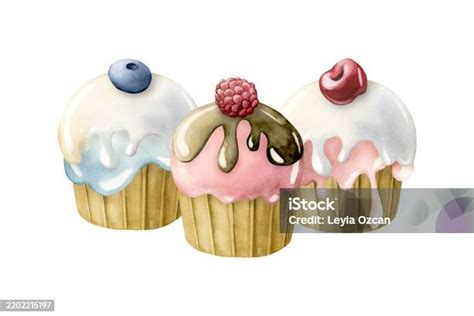 베리 과일을 곁들인 귀여운 컵 케이크 수채화 손으로 그린 음식 그림은 아이 생일을 위해 흰색 배경에 고립 되어 있습니다 0명에 대한 스톡 벡터 아트 및 기타 이미지 Istock