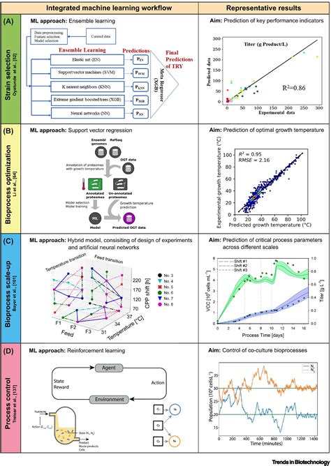 Machine Learning In Bioprocess Development From Promise To Practice Trends In Biotechnology