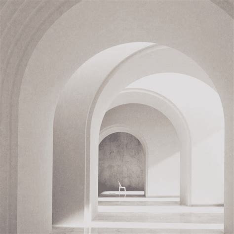 7 Benefits Of Lily Tea Your Tea Blog