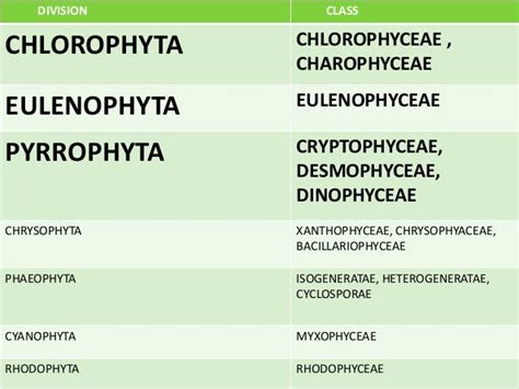 Algae General Characters And Classification