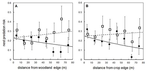 Nest Predation Risk During The Breeding Season Incubation Nestling
