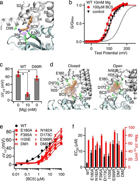 Bc5 Interactions With The Targeted Site At The Ctd Vsd Interface A The