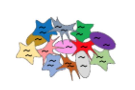 Split Seq Single Cell Rna Seq Without The Hardware Enseqlopedia