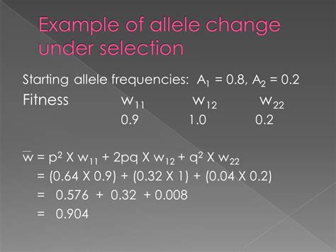 allele frequency example