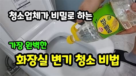변기에 화이트 식초를 넣으면 이렇게 돼요 【변기청소꿀팁│변기에 소금 한 주먹도 좋지만 식초를 이용해야 세균 곰팡이 소변
