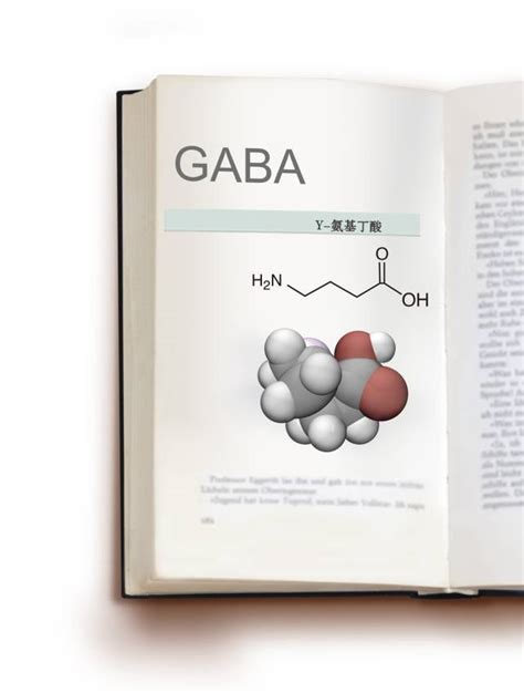 Gaba受体的分类及其相关功能gaba