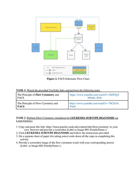 Solution Immunology Flow Cytometry And Fluorescence Activated Single