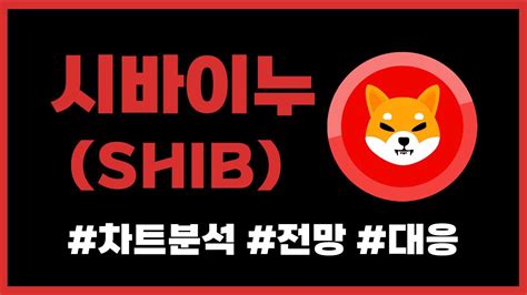 시바이누 코인 충격적인 전망 Youtube