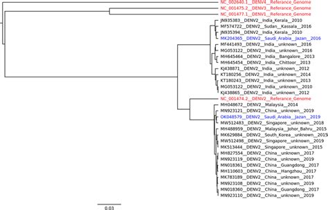 The Evolutionary History Was Inferred By Using The Bayesian Inference