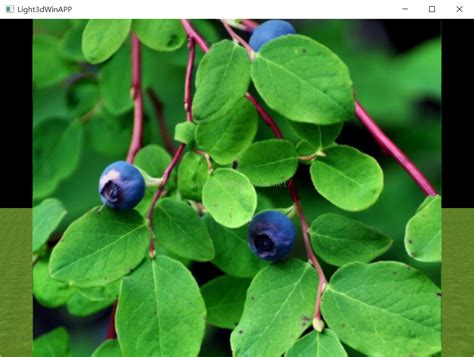 实现简单模糊效果的片段着色器代码示例 Csdn博客 实现简单模糊效果的片段着色器代码示例 Csdn博客