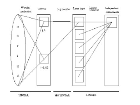 A Possible Neural Architecture To Extract Independent Features Using