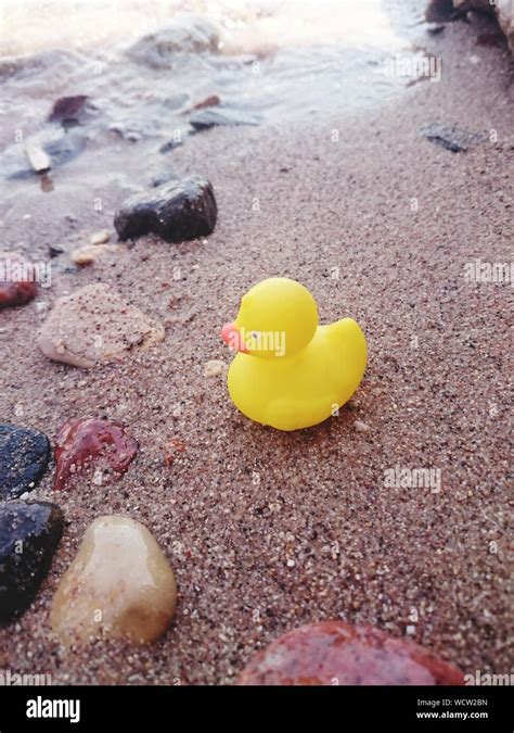 Dirty Rubber Duck Hi Res Stock Photography And Images Alamy
