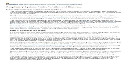Respiratory System Facts Function And PDF Filelivescience