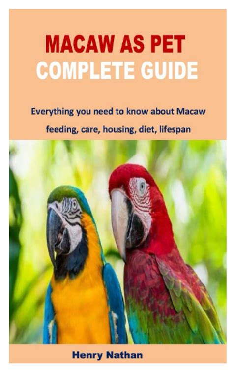 Buy Macaw As Pet Complete Guide Everything You Need To Know About