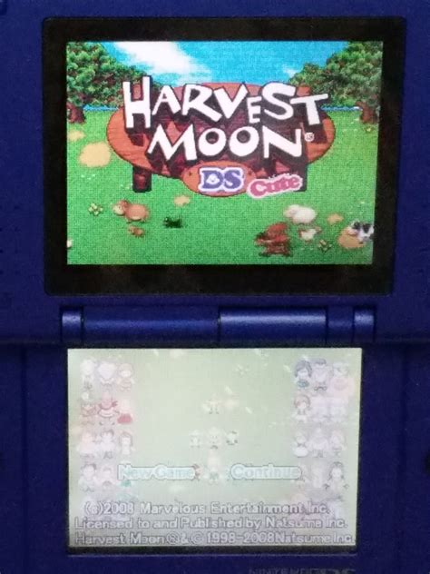 Harvest Moon Ds