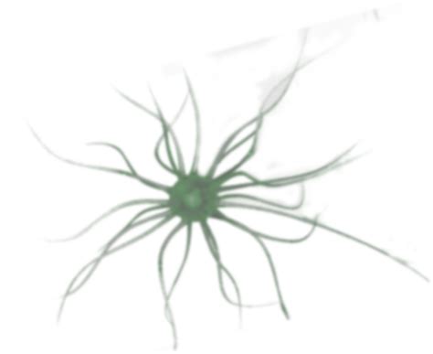 Dendrite Precision
