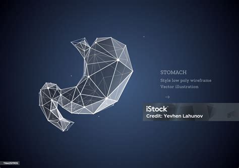 위 소화 기관의 치료의 개념 낮은 폴리 와이어 프레임 스타일 의학 기술 어두운 배경에 격리 된 추상 그림입니다 파티클은 실루엣으로 연결됩니다 위에 대한 스톡 벡터 아트 및