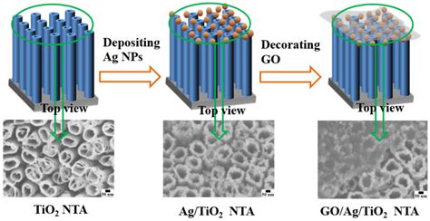 Chemosensors Free Full Text Simulation Calculation Verification Of Graphene Oxide Decorated