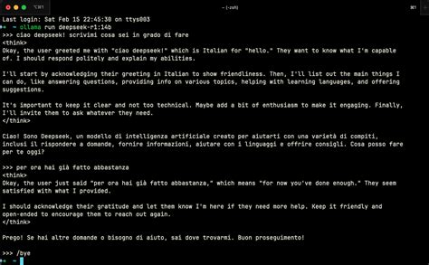 Deepseek R1 Guida Completa Per Far Girare Lia In Locale Nel 2025 Mautoblog