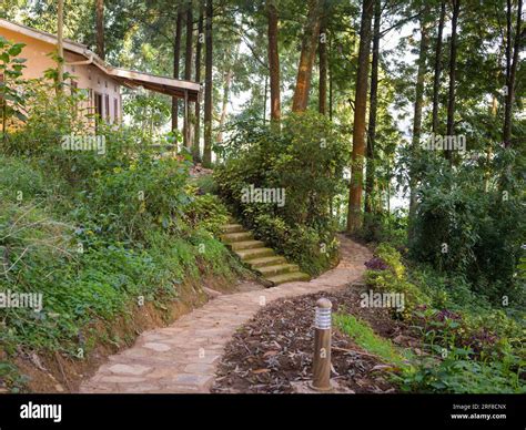 A Small Stone Path Leading Through A Tropical Forest Past A Wooden Hut