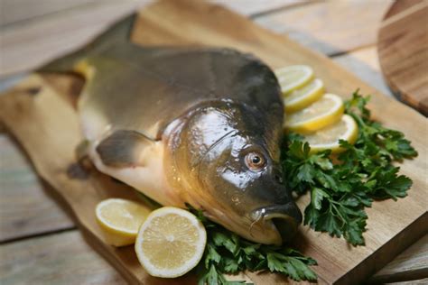 Ceny Karpia Ile Będzie Kosztował Karp Na święta Bożego Narodzenia