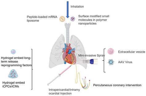 Advances In Cellular Reprogramming Based Approaches For Heart