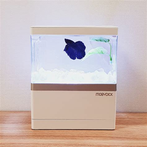 모모탱크 미니섬프어항 쿠아쿠아 수족관 용품 쇼핑몰