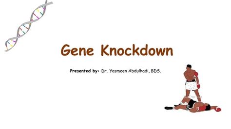 Gene Knockdown By Dr Yasmeen Abdulhadi Bds Pptx