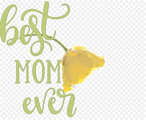 母亲节 有史以来最好的妈妈 水彩画png图片素材下载图片编号7147789 Png素材网