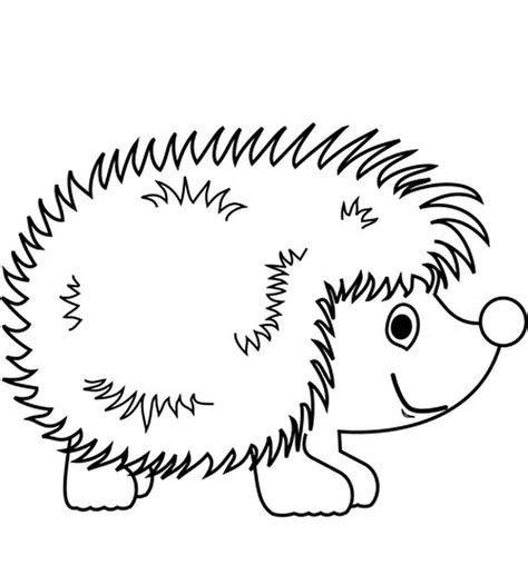 Laukiniai Gyvūnai Spalvinimui 🐒 Pepe Lt