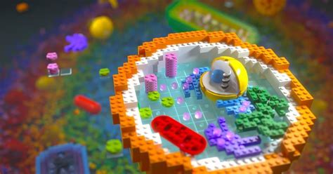 Assembly Theory Puts Chemistry Centre Stage To Explain Molecular Complexity And Lifes Origins