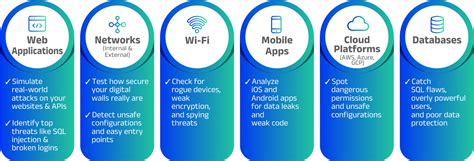 Penetration Testing Services Identify Vulnerable Assets