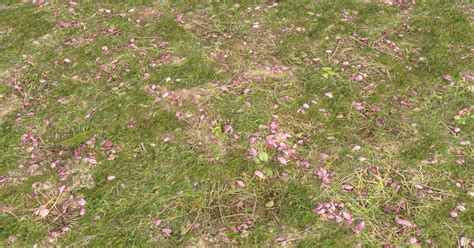 Forest Ground Textures 8 2d Textures And Materials Unity Asset Store