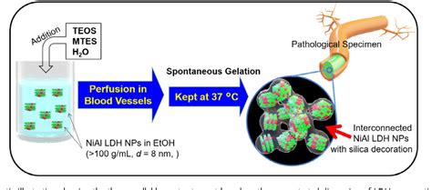 Figure 1 From University Of Birmingham Curable Layered Double Hydroxide Nanoparticles Based