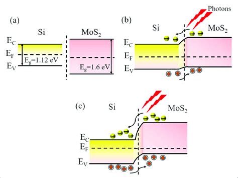 schematics of the energy band diagram of a mos 2 on si before