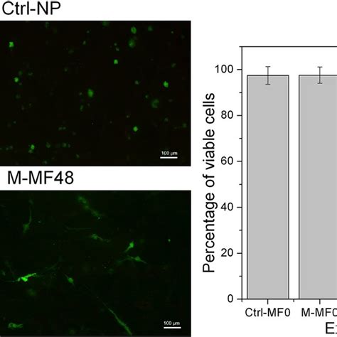 Cell Viability Tests Fluorescence Microscopy Images Scale Bar 100 Download Scientific