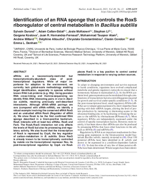 Pdf Identification Of An Rna Sponge That Controls The Roxs Riboregulator Of Central Metabolism