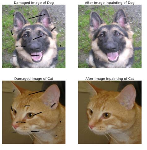 Computer Vision Using OpenCV Analytics Vidhya