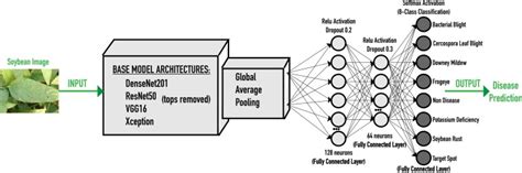Reproducing A Study Designed With TensorFlow Vision PyTorch Forums
