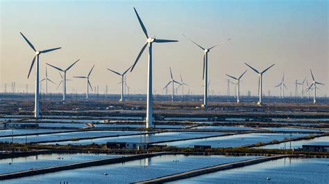 Expert China Helps Reduce Cost Of Low Carbon Transition Through Trade Cgtn