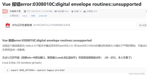 Vue 报错error0308010cdigital Envelope Routinesunsupported Csdn博客