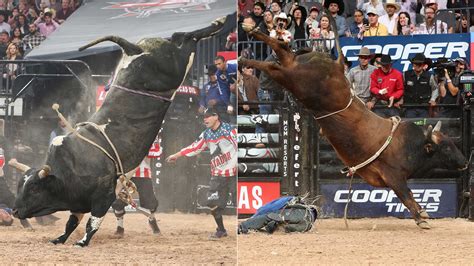 Pbr Spotted Demon And Legit Making Season Debuts In Glendale