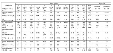 Общий анализ крови норма и расшифровка показателей