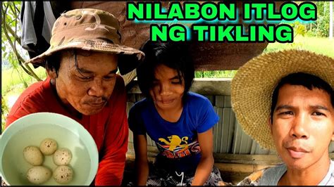 Itlog Ng Tikling Nilaga Youtube