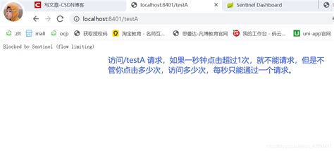 sentinel简单使用 sentinel怎么访问 csdn博客