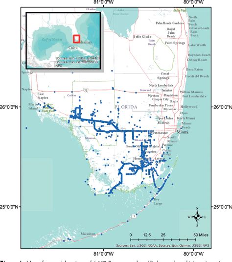 Figure 1 From Size Distribution And Reproductive Phenology Of The Invasive Burmese Python