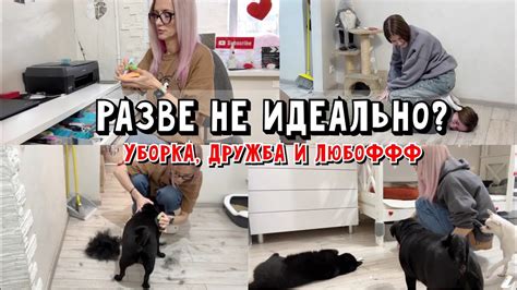 Стол я Киры расхламила День рождения не забыла К психиатру заскочила Кира Вику полечила